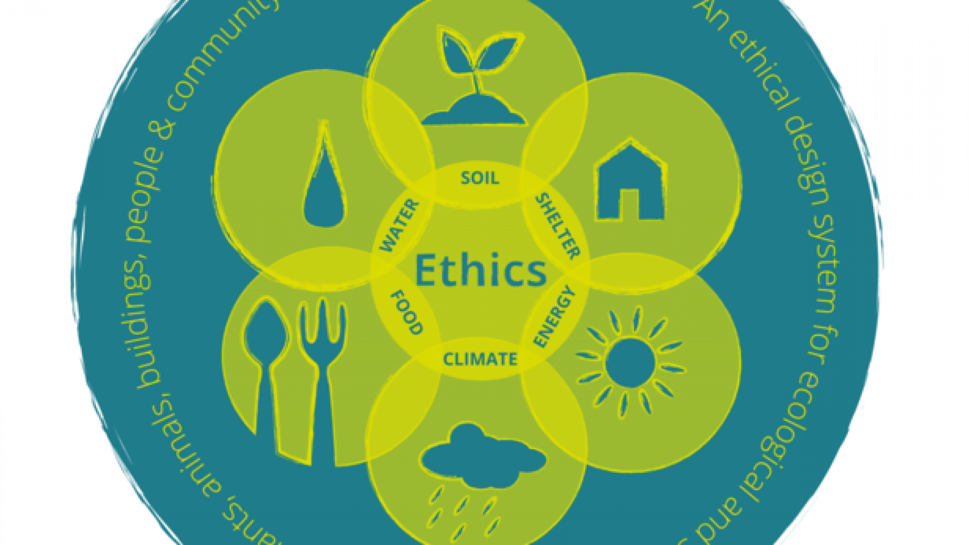 What are high welfare eggs and poultry? | Sloane's